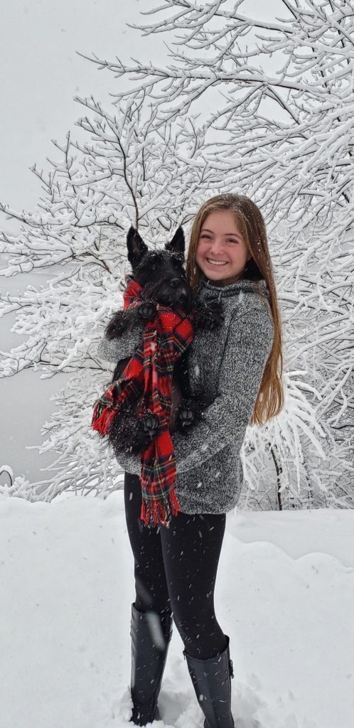 How To Adopt One of Our Scotties – Scottish Terrier Club of Greater NY ...