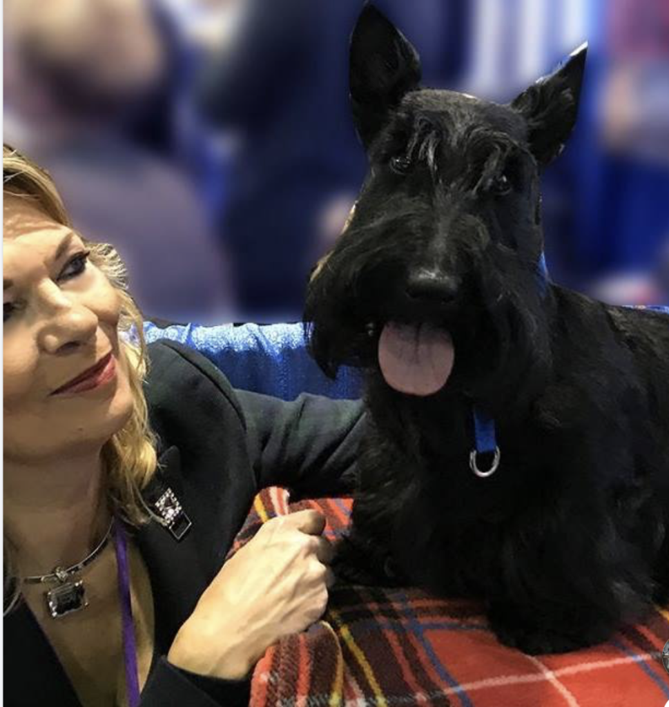 2025 STCGNY ELECTION – Scottish Terrier Club of Greater New York, Inc.